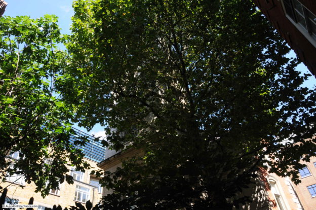 Ironmonger Lane - Two Thousand Years of History - A London Inheritance