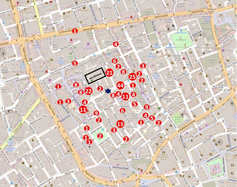 John Snow and the Soho Cholera Outbreak of 1854 - A London Inheritance