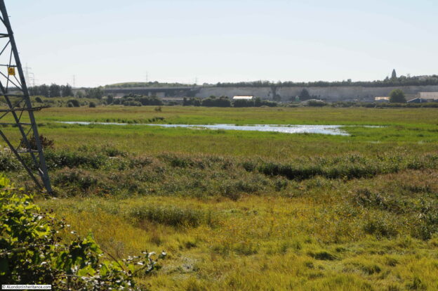 Swanscombe Peninsula and the London Resort - Part 2 - A London Inheritance