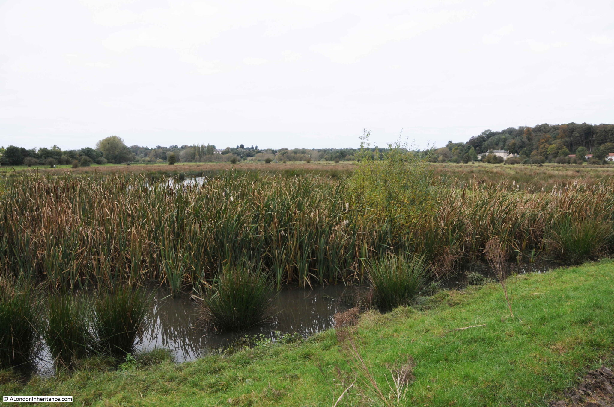 Walking the New River - Ware to Cheshunt - A London Inheritance