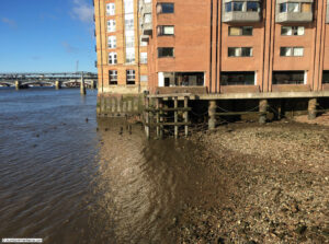 Queenhithe - The Original London Dock - A London Inheritance